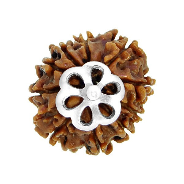 10 Mukhi NEPALI RUDRAKSHA SILVER 925 PENDANT / Ten Faced RUDRAKSHA 100 ...